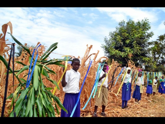 2012 Uhuro Torch – Kimashuku Verein Dinslaken e.V.